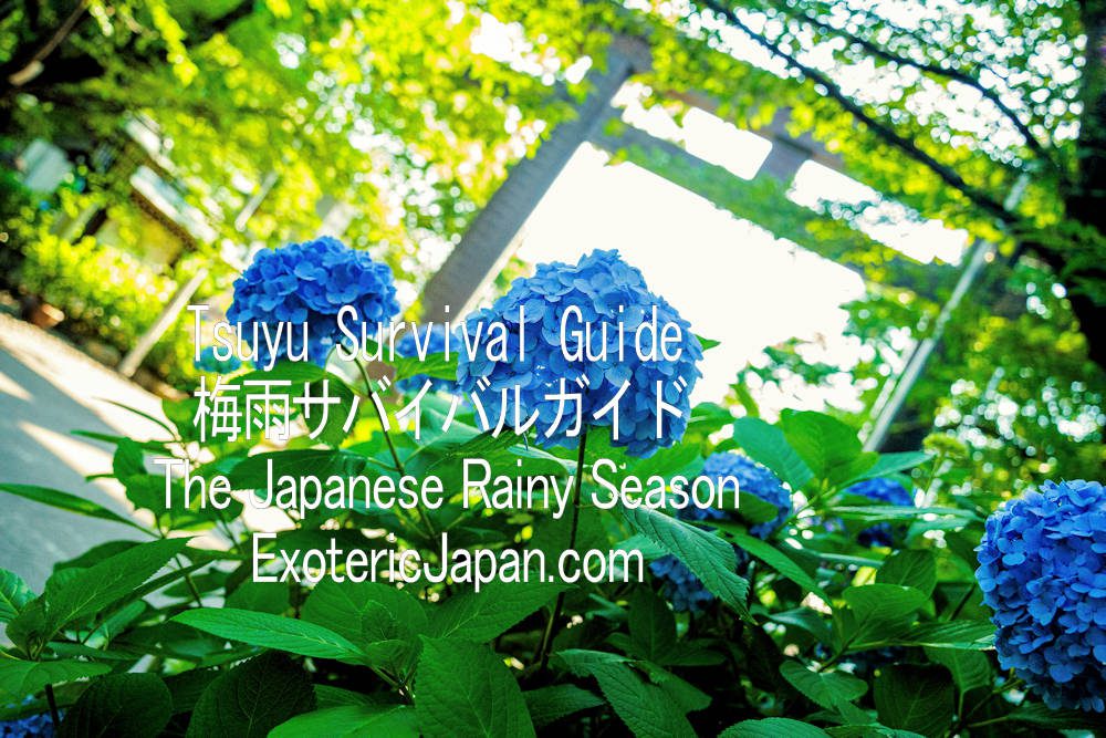 Tsuyu Survival Guide 梅雨サバイバルガイド The Japanese Rainy Season